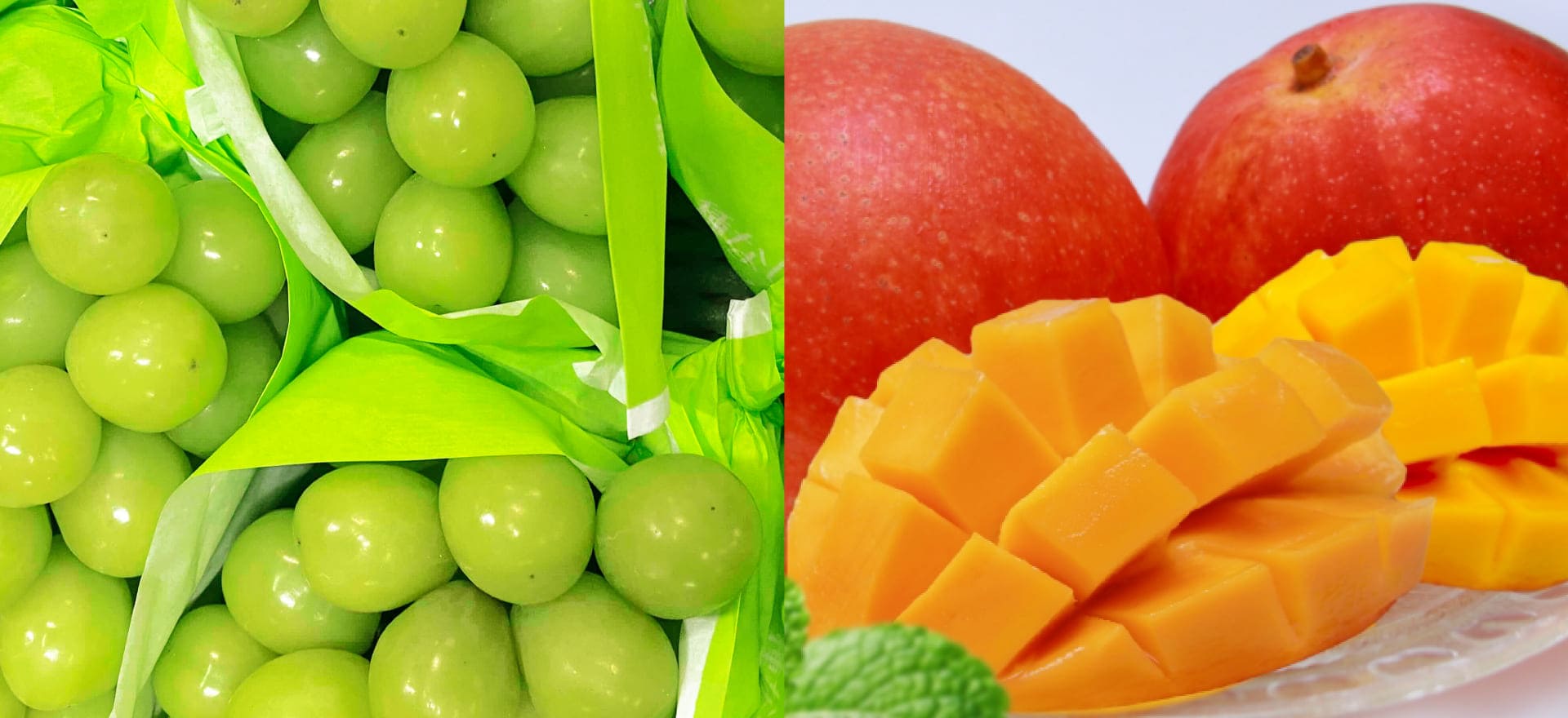 蒲郡オレンジパーク/いちご狩り・メロン狩り・ぶどう狩り・みかん狩り